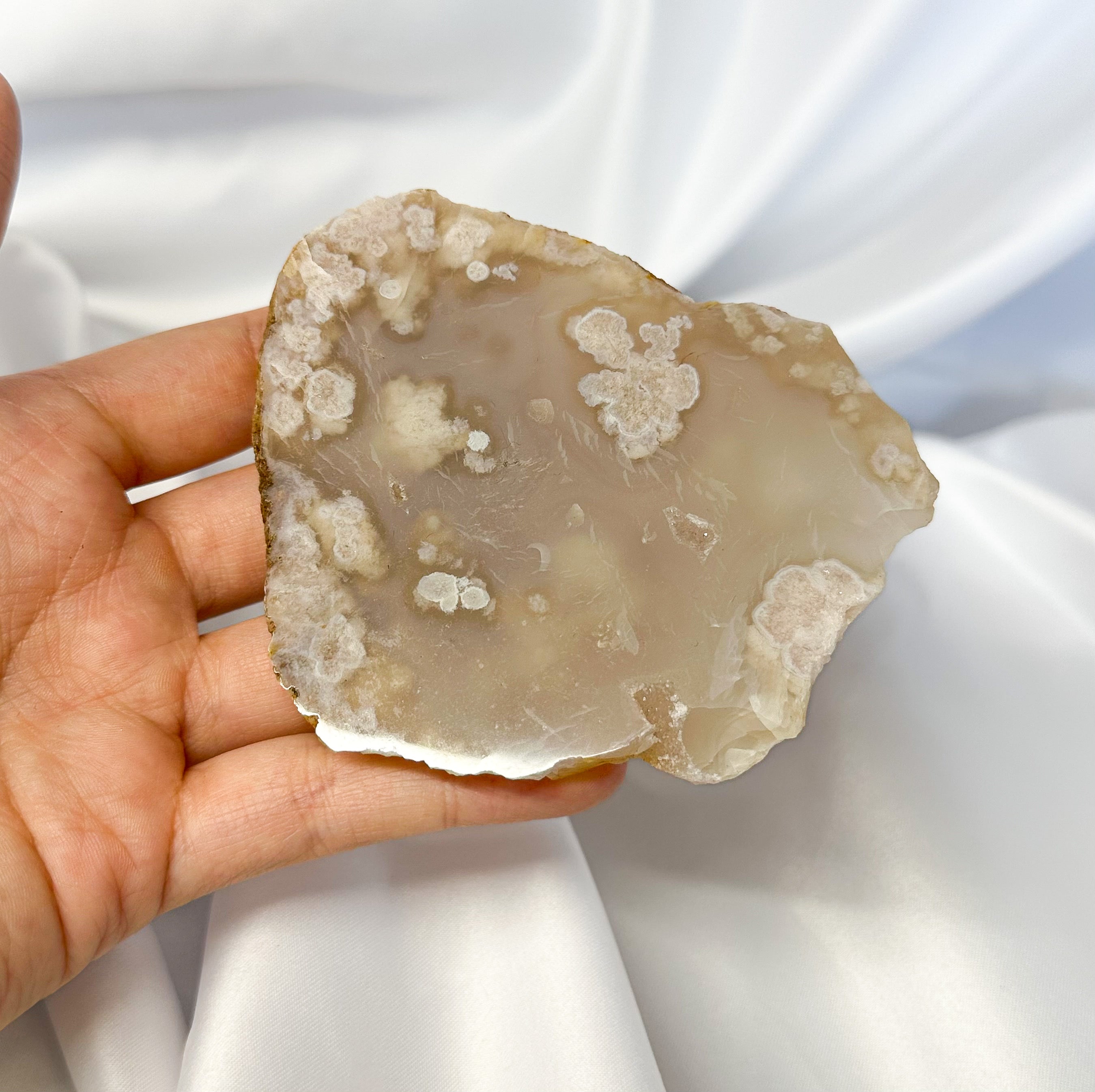 Flower Agate slab – Night Crystals